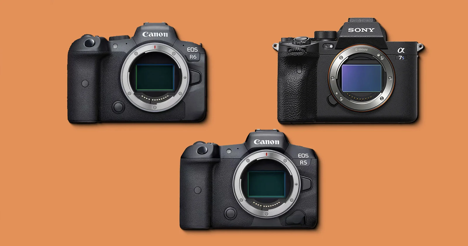 How Much Does It Cost to Rent a Camera in Kenya? - Canon & Sony, DSLR ...